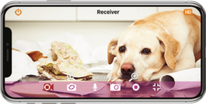 PetCam – Features and Full Versions – PetCam