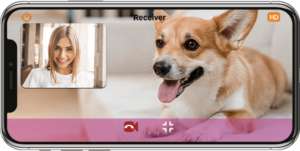 PetCam – Features and Full Versions – PetCam